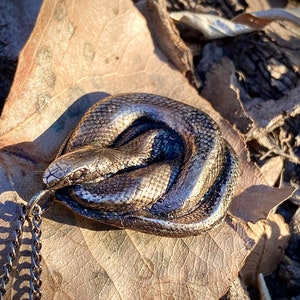Coiled Snake Pendant - Cast Bronze - Etsy