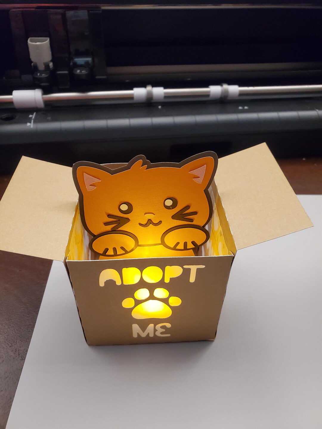 Adopt Me Cat Lantern Kit - Etsy