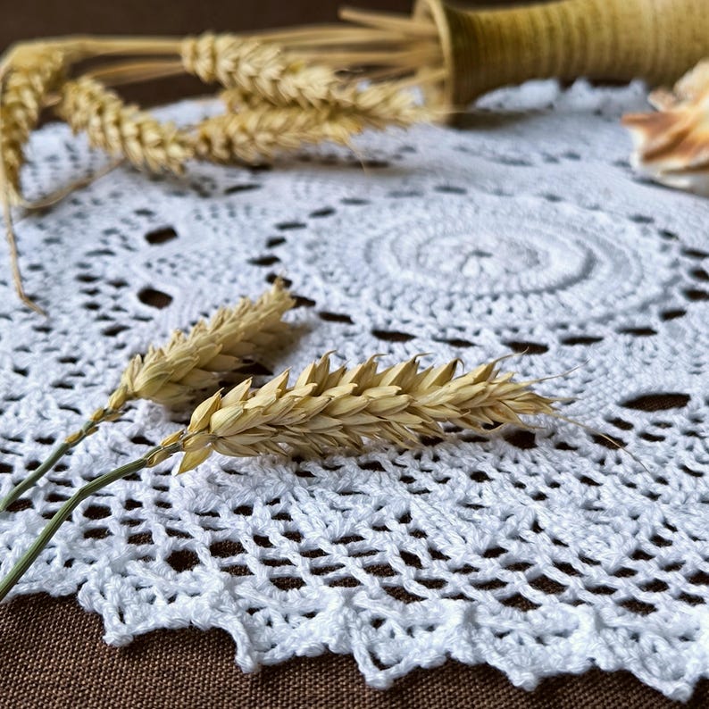 Elegant Classic Lacy Crochet Doily Handmade Ornate Artistic Centerpiece Dining Table Intricate ...
