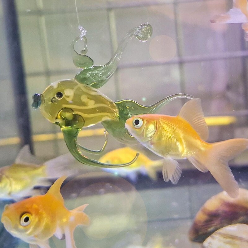Fish Tank Decoration - Etsy