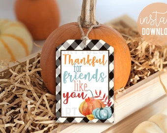 Thankful Gift Tags Choose a Grateful Greeting Thanksgiving - Etsy
