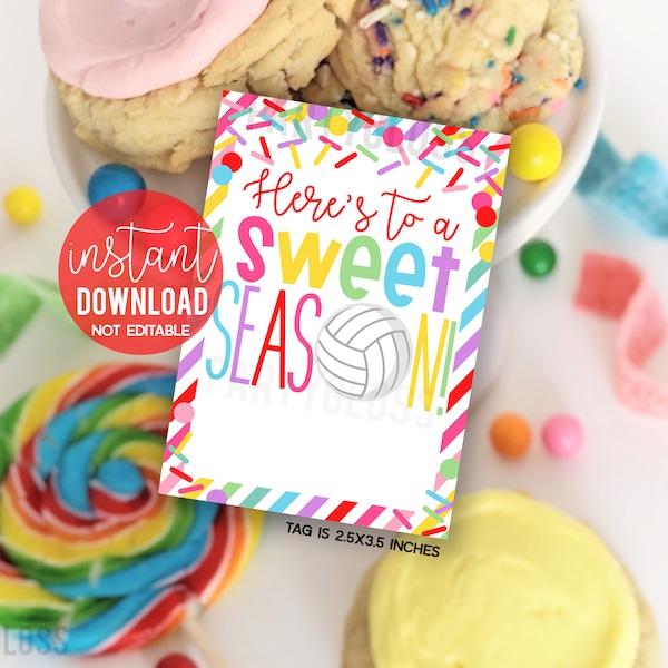 Volleyball Treat Tags - Etsy