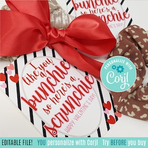 Editable Scrunchie Valentine's Day Printable Tag Class Team Friend ...