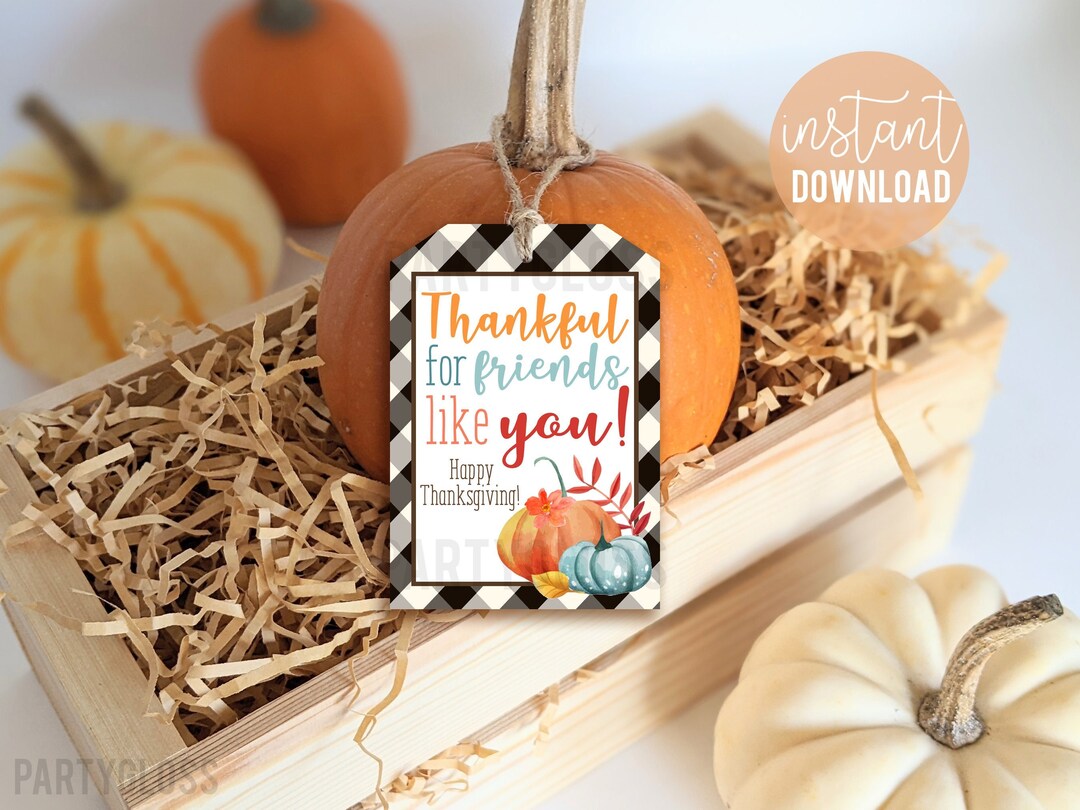 Thanksgiving Friend Appreciation Printable Gift Tags, Autumn Fall Treat ...