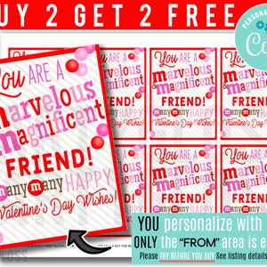 Editable Valentine's Day Friend Appreciation Tag, Printable Classmate ...