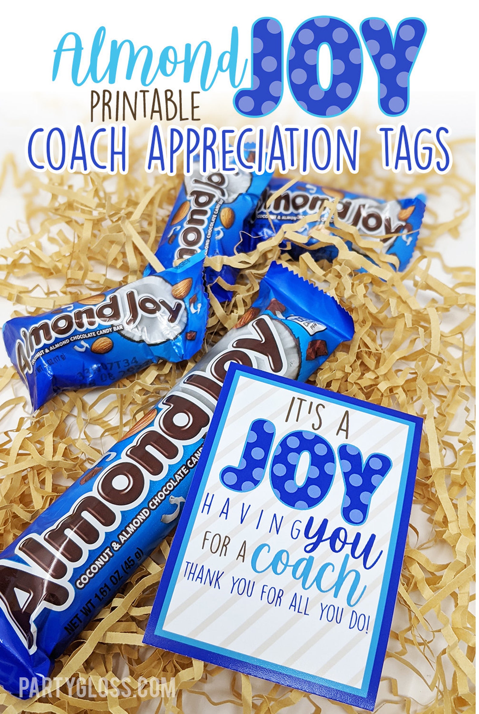 Coach Appreciation Printable Tag | Printable Joy Team Tags | End of the ...