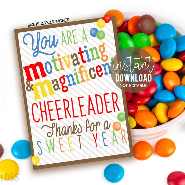 Cheer End of Year Printable - Etsy