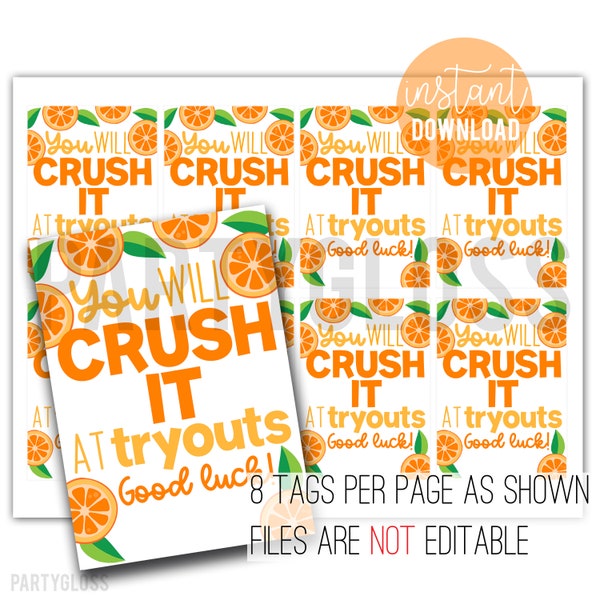 Orange Crush Sticker - Etsy