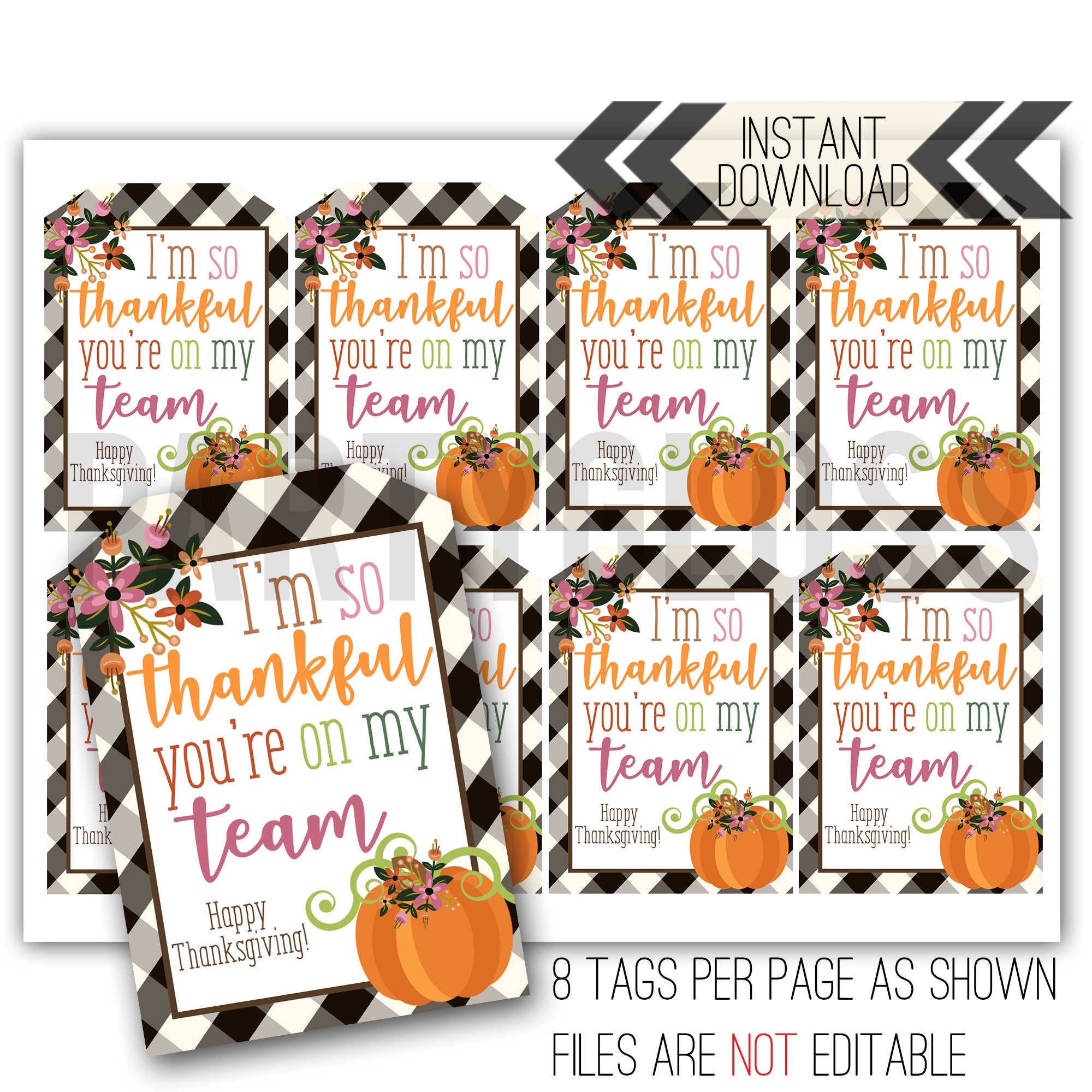Thanksgiving Team Appreciation Printable Gift Tags, so Thankful Autumn ...
