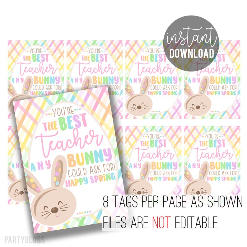 Teacher Appreciation Printable Tags, the Best Teacher Any Bunny Could ...