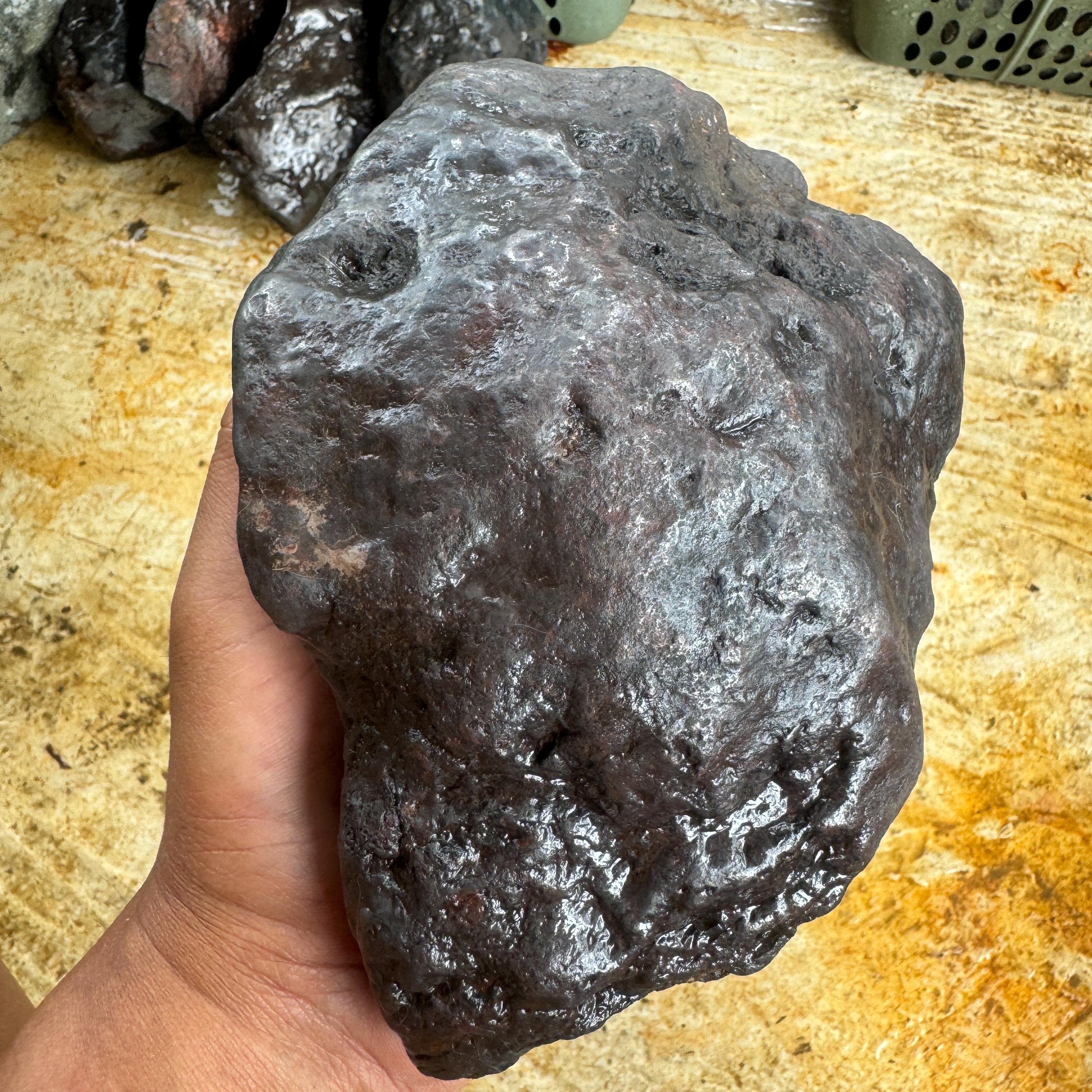 3.603g Ataxite Iron Meteorite From Another Space. - Etsy