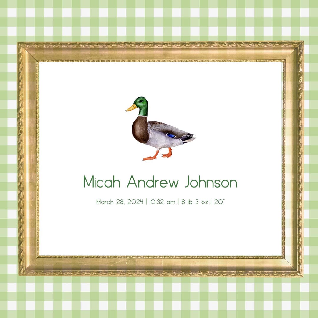 Mallard Duck Art Baby Boy Birth Announcement for Hospital Baby Name ...