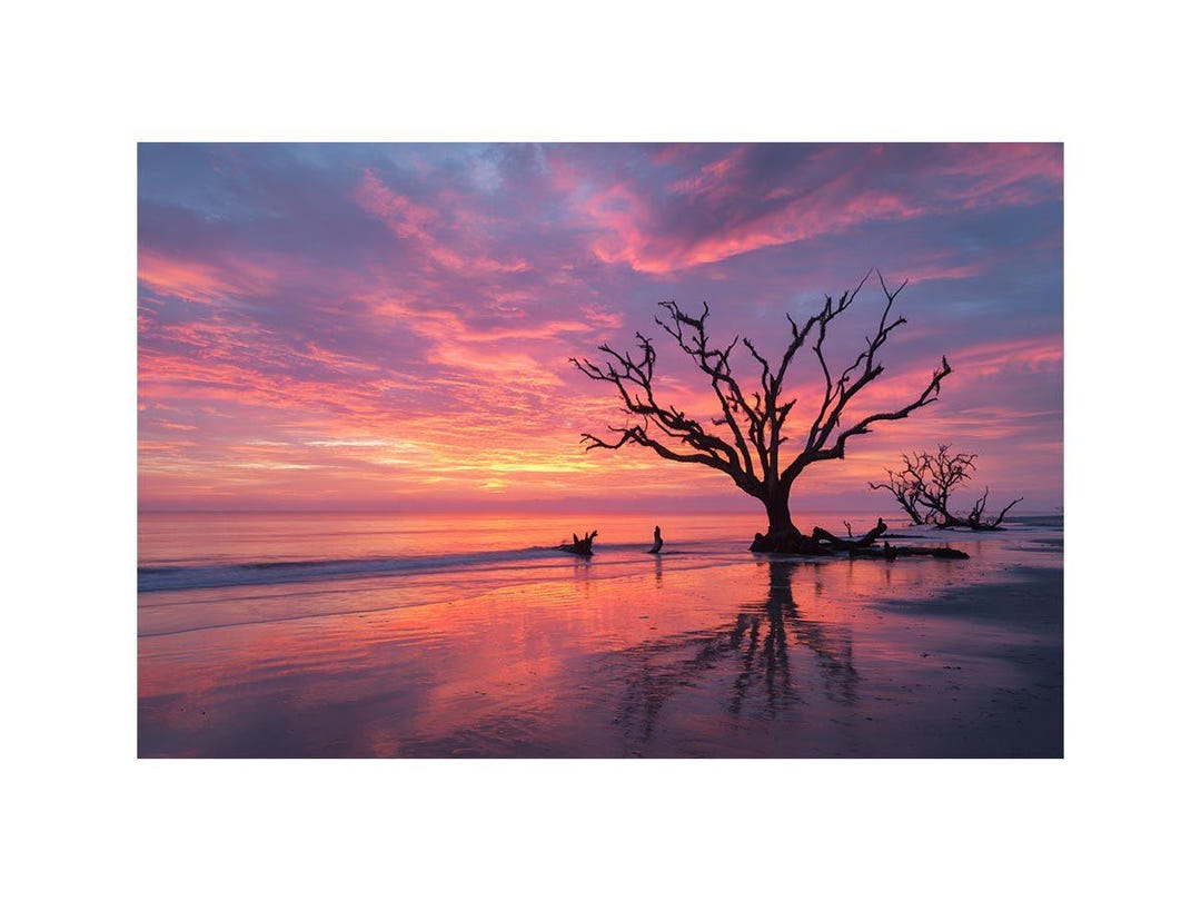 Botany Bay Australia Sunset Painting - Etsy