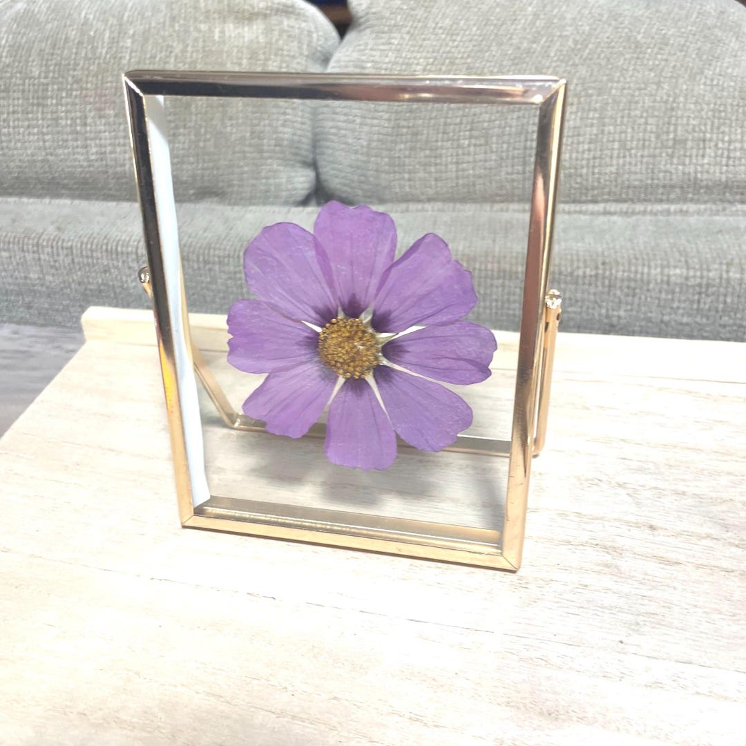 Dried Cosmo Flower in Gold Frame - Etsy