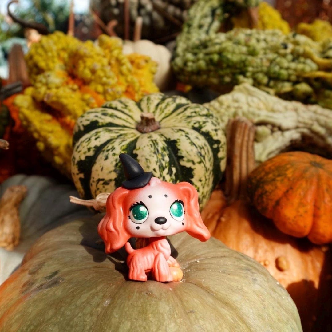 LPS Littlest Pet Shop Custom Cocker Spaniel Witch - Etsy