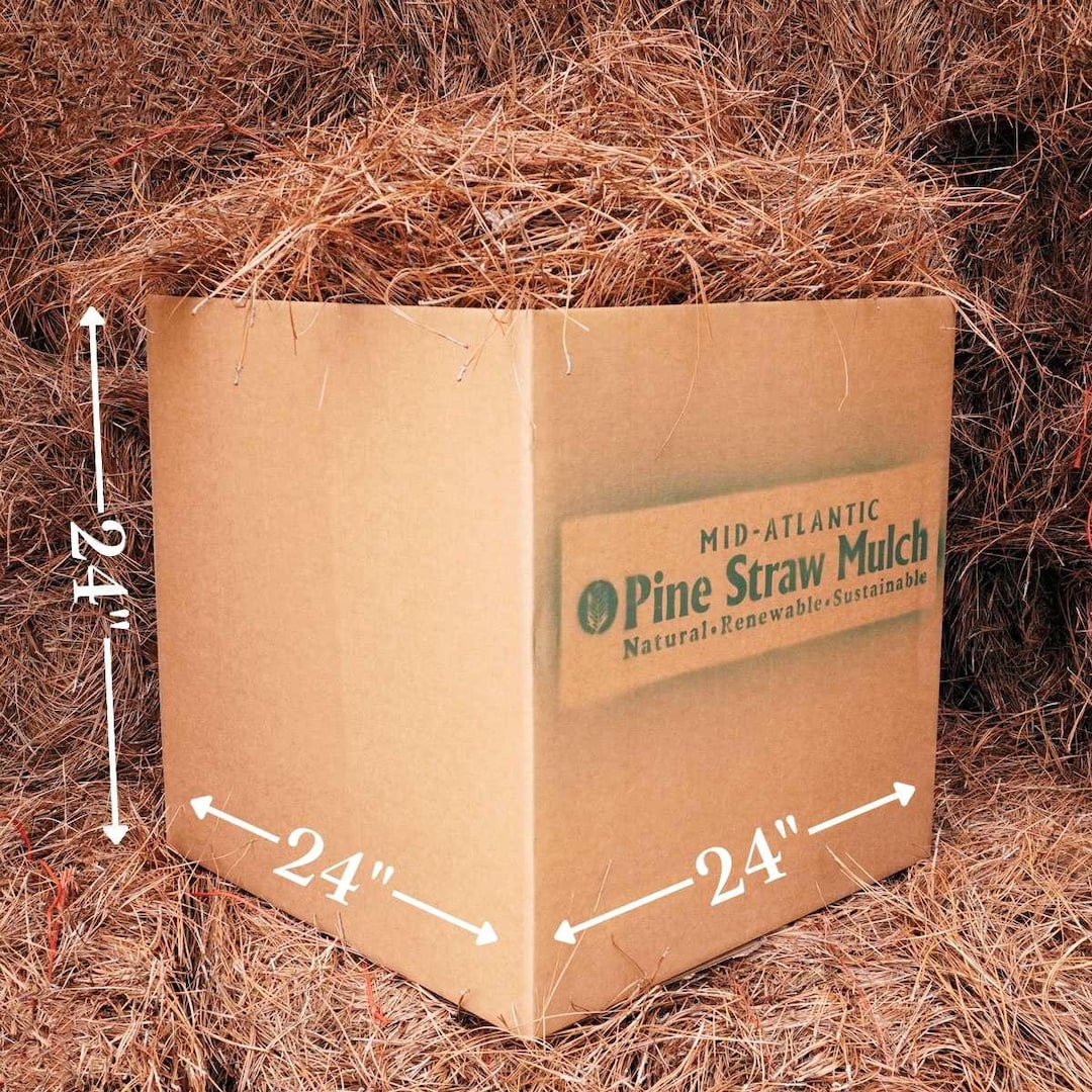 Organic Pine Straw Mulch (XL Box) | Long-lasting, Easy-to-spread, No ...