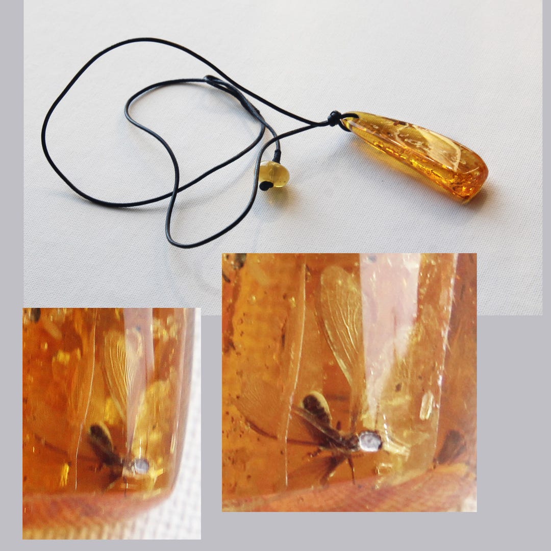 Ancient Insect Amber Inclusion Pendant, Insect Inclusion Baltic Amber ...