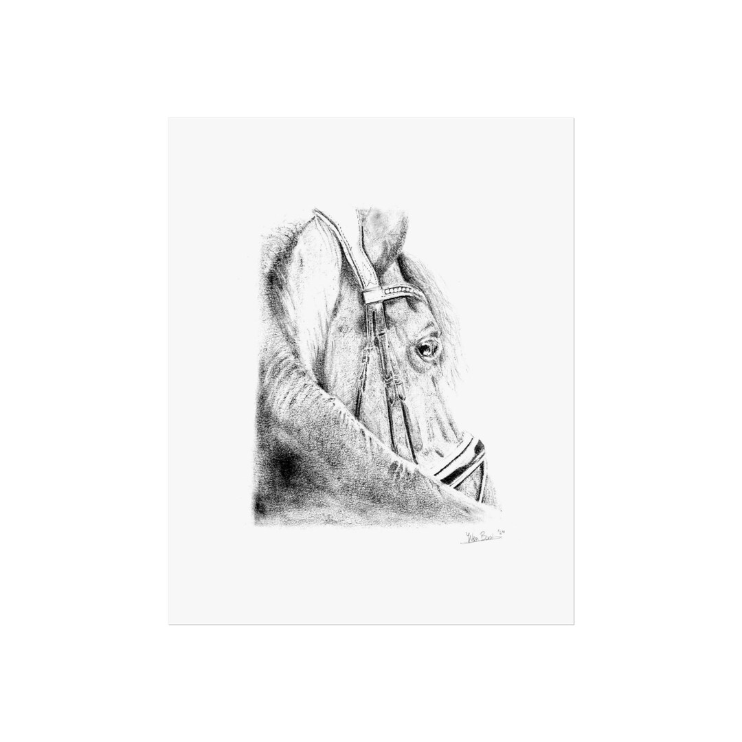 Fine Art Poster Graphite Horse Drawing Art Print, Wall Art Decor, Home ...