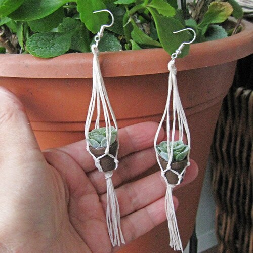 Hanging Plant Earrings - Etsy