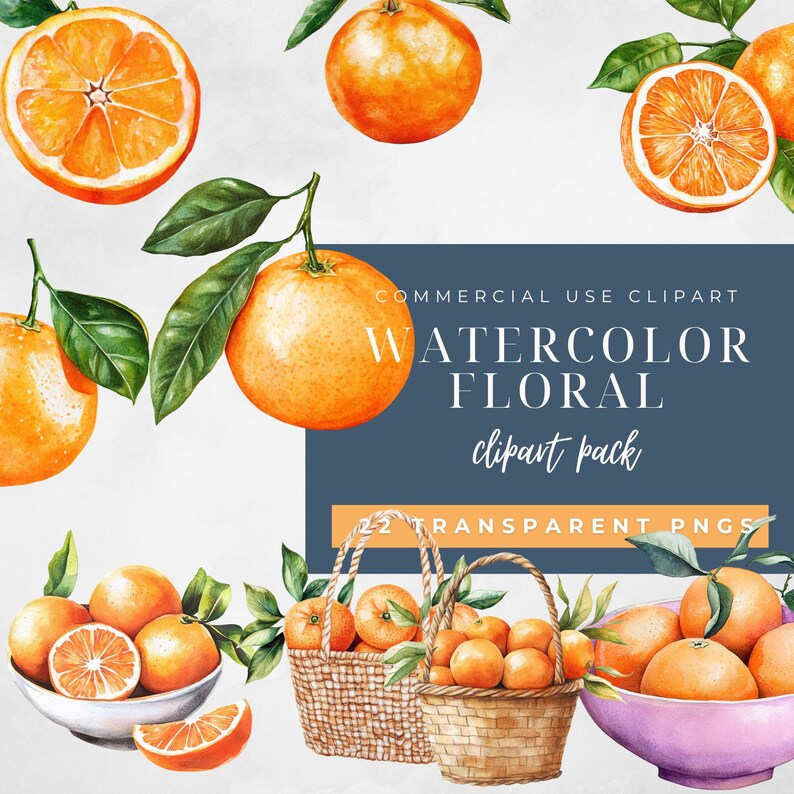 Orange Slice Watercolor Clipart: 36 Citrus Fruit PNG Graphics ...