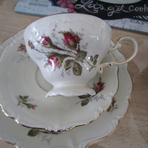 Rosenthale Pompadour China 26pc. Tea Set Selb-germany Moss Rose - Etsy