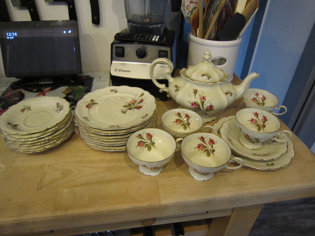 Rosenthale Pompadour China 26pc. Tea Set Selb-germany Moss - Etsy
