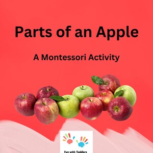 Montessori Parts of an Apple Printable - Interactive Apple Anatomy ...