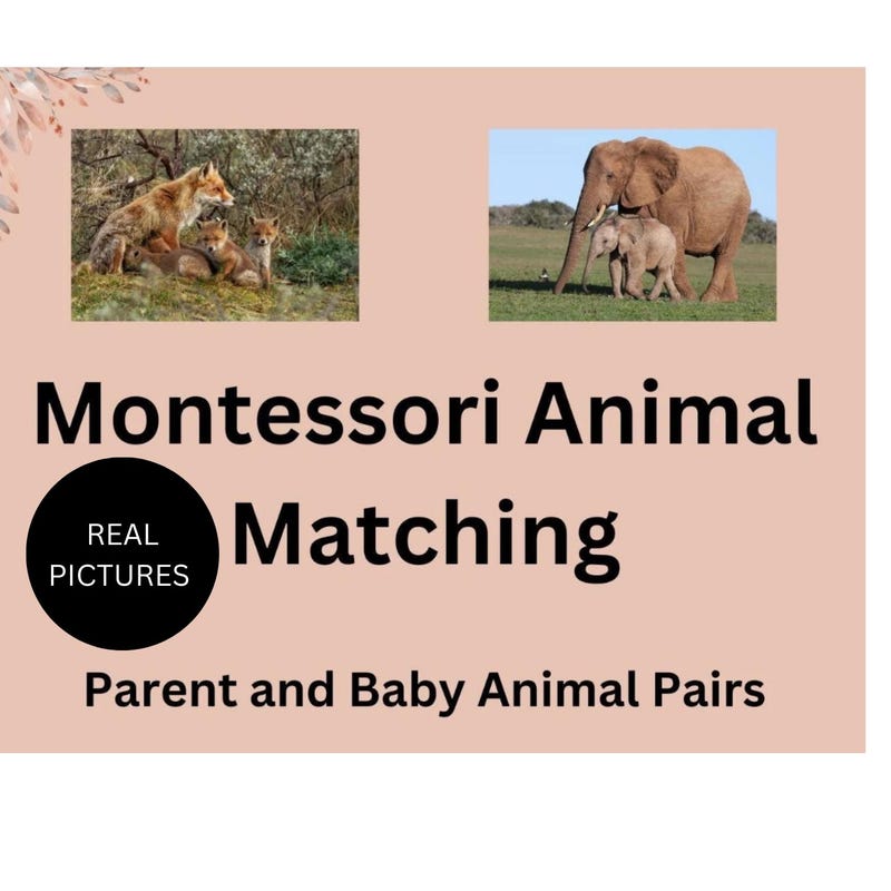Printable Animal - Etsy
