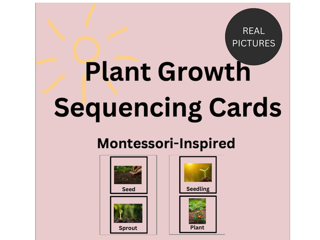 Montessori-inspired Plant Growth Sequencing Cards - Etsy