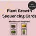 Montessori-inspired Plant Growth Sequencing Cards - Etsy