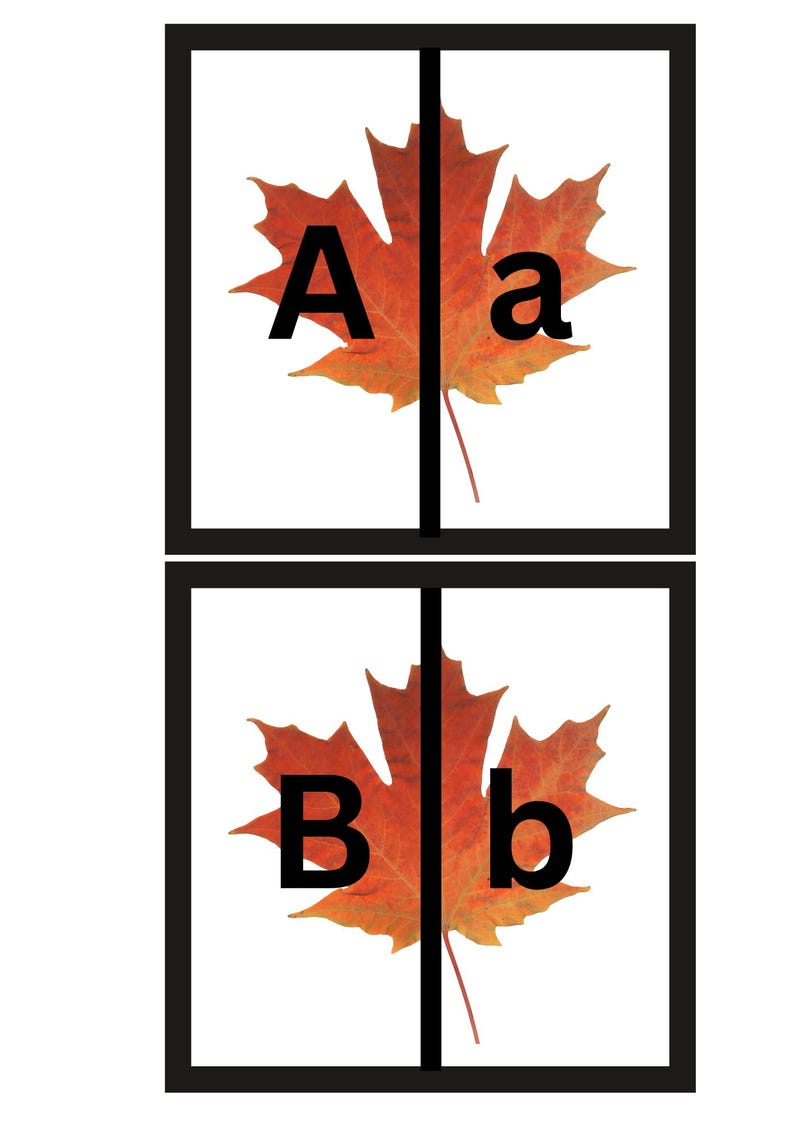 Learn Your Alphabets for Toddlers: a Reggio Based Approach - Etsy