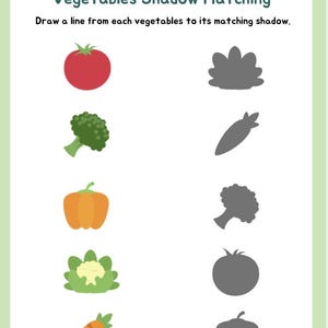 Shadow Matching Activity for Toddlers - Etsy