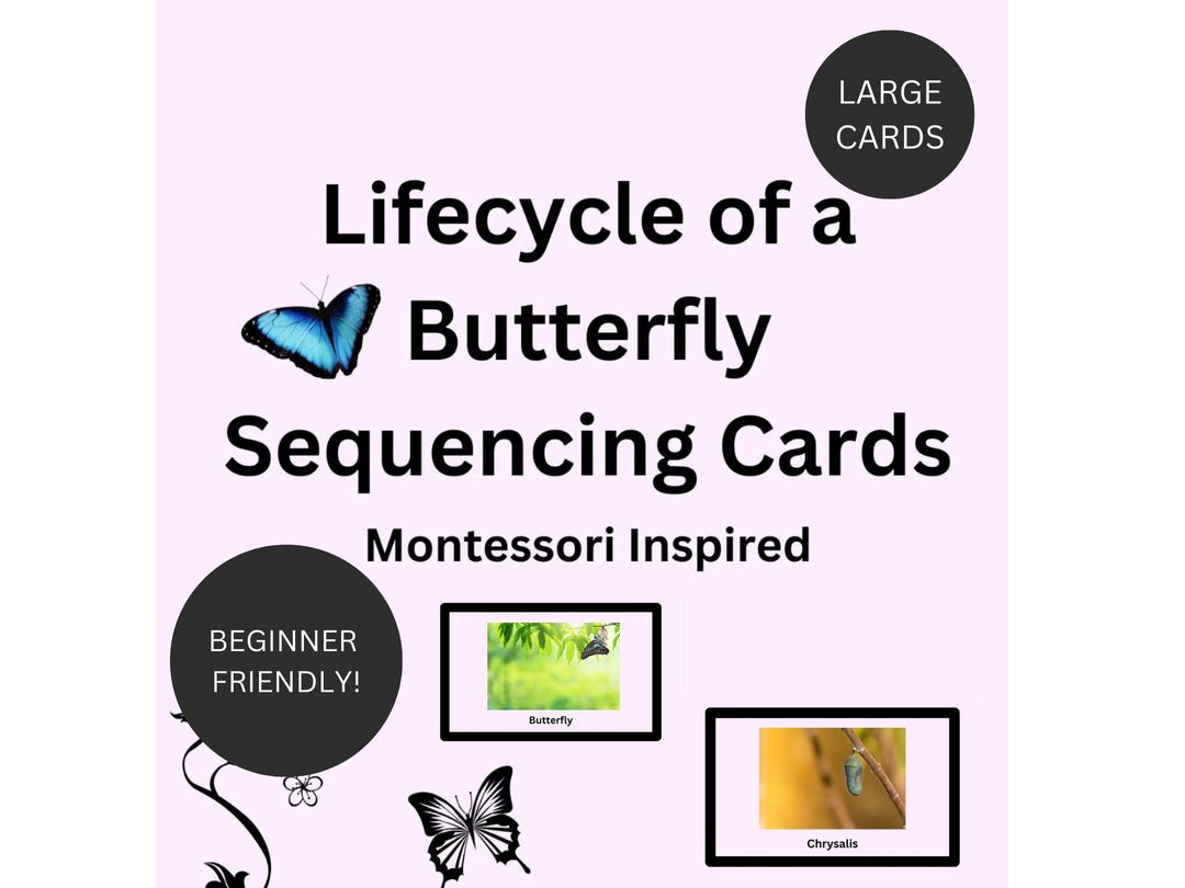 Montessori-inspired Lifecycle of a Butterfly Sequencing Cards - Etsy