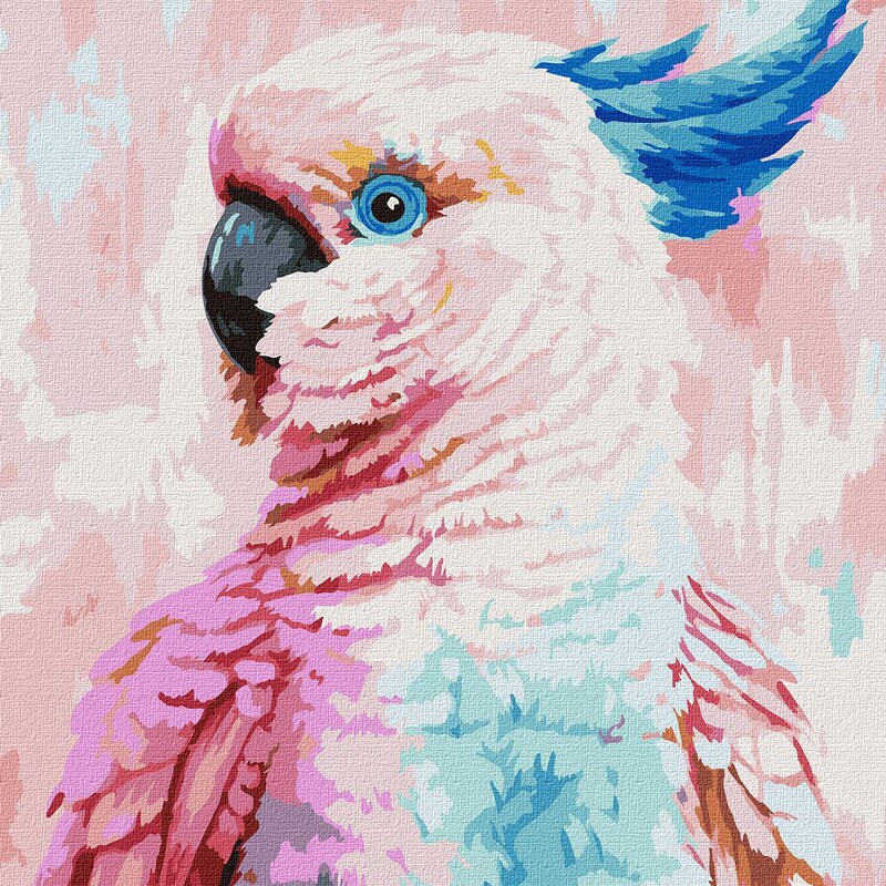 40 X 50 Inch Canvas - Etsy