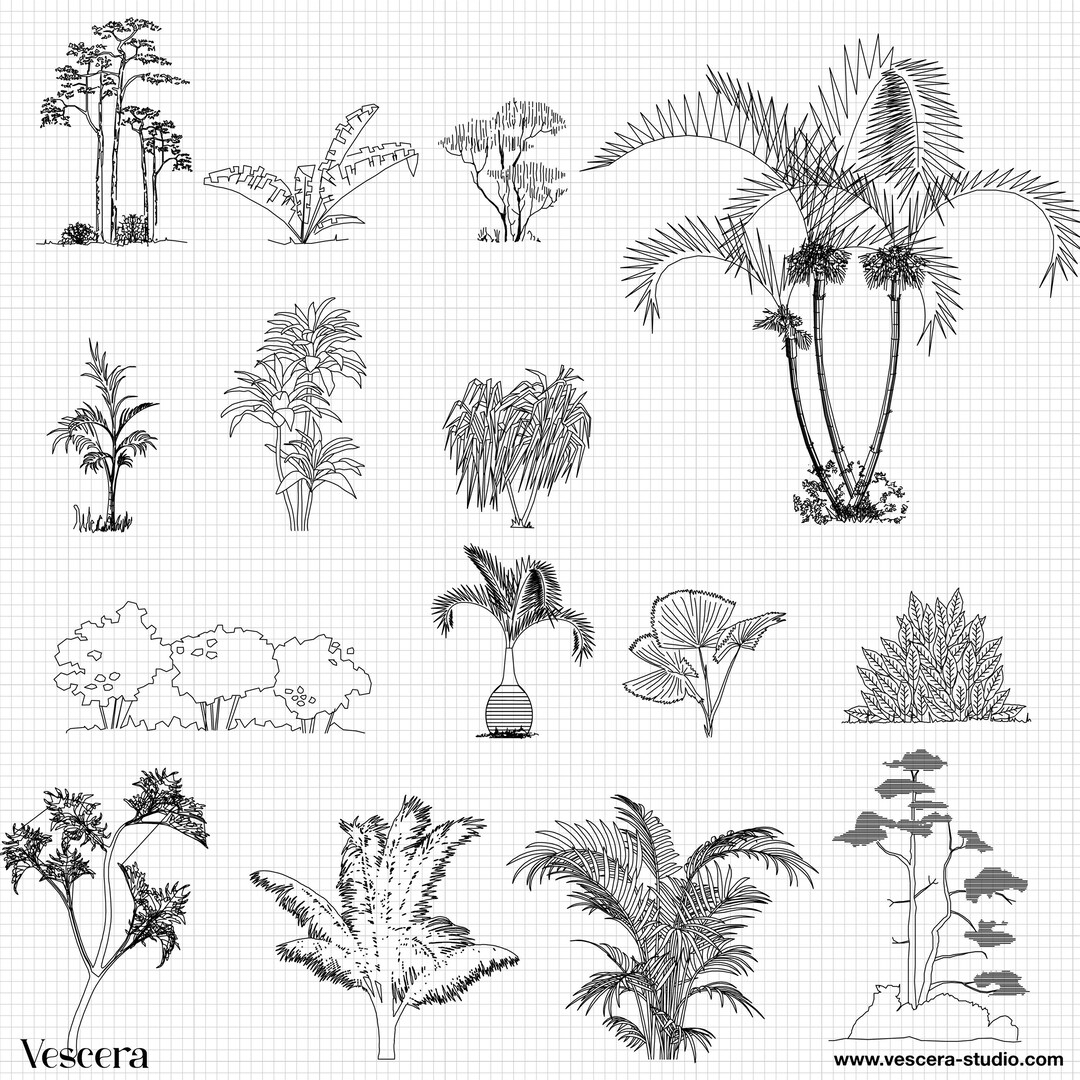 Cadblock Trees, Vegetation and Tropical Palms, Elevation, Vector ...