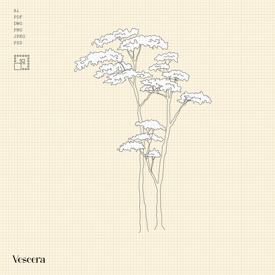 Cadblock Trees and Tropical Vegetation, Elevation and Vector Drawing - Etsy