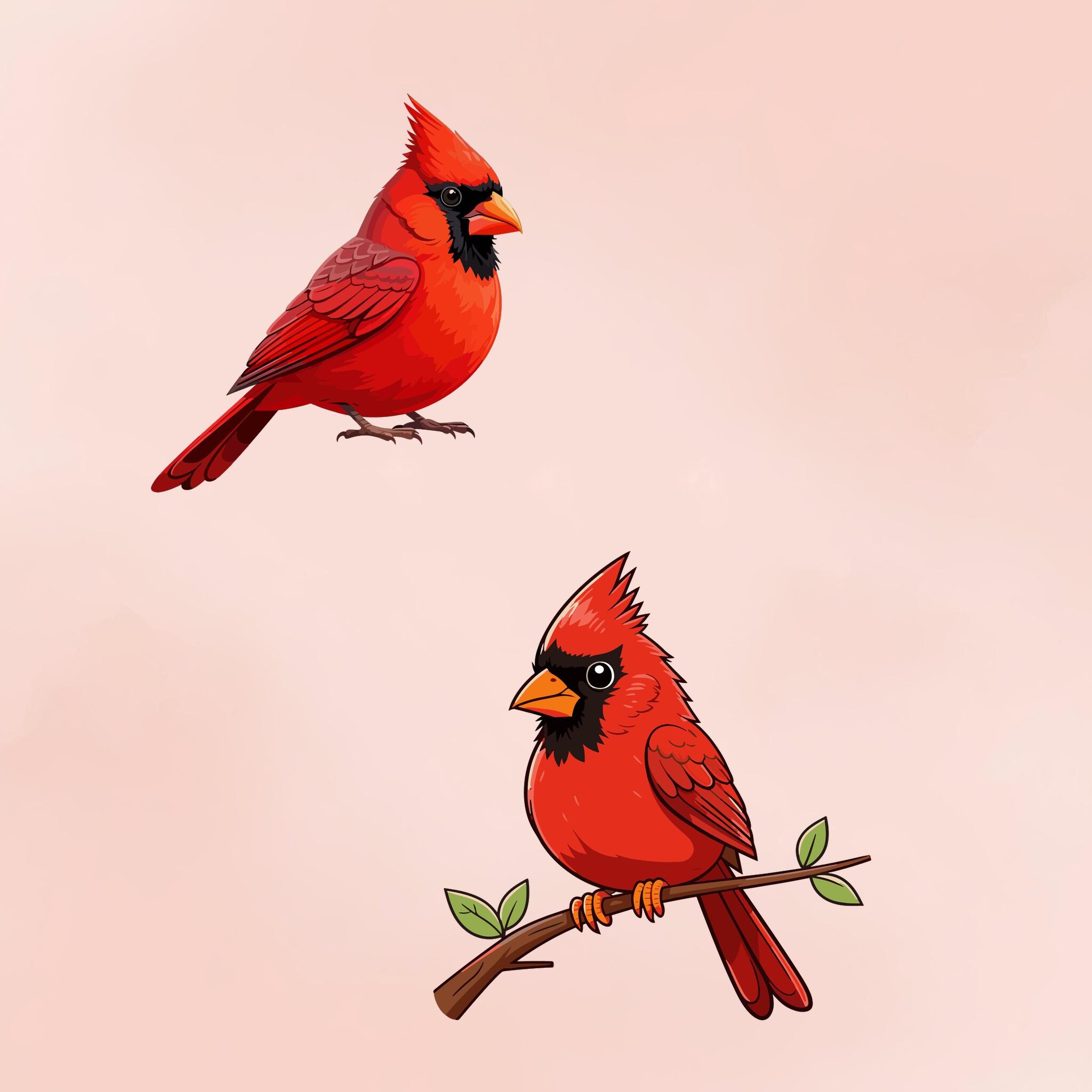 Cardinal PNG & Illustrator Bundle | 10 Hand-drawn Style Cardinal ...