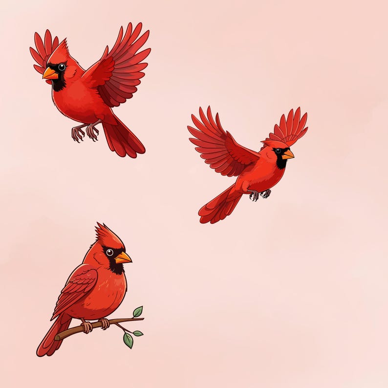 Cardinal PNG & Illustrator Bundle | 10 Hand-drawn Style Cardinal ...