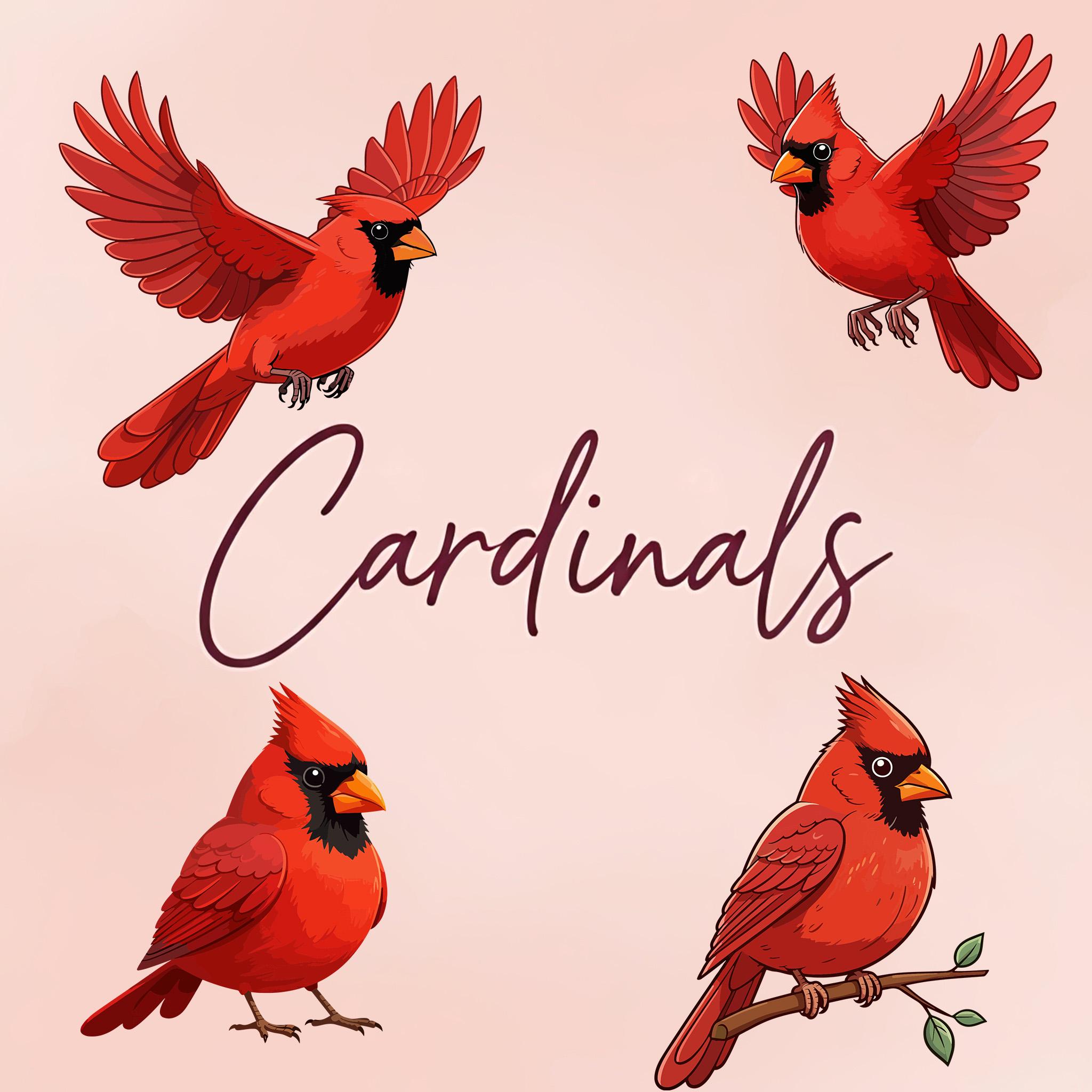 Cardinal PNG & Illustrator Bundle | 10 Hand-drawn Style Cardinal ...