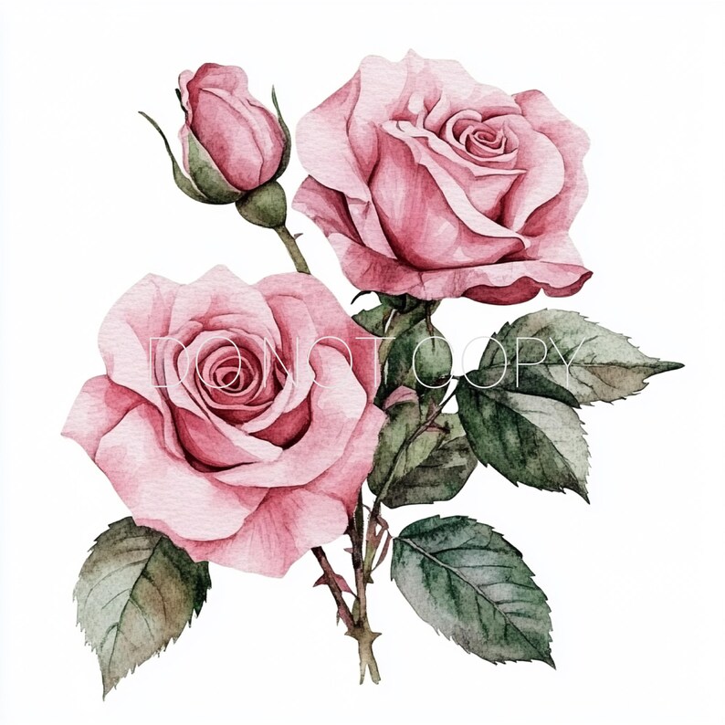 Watercolor Rose Bundle 4 PNG Digital Download Files - Etsy