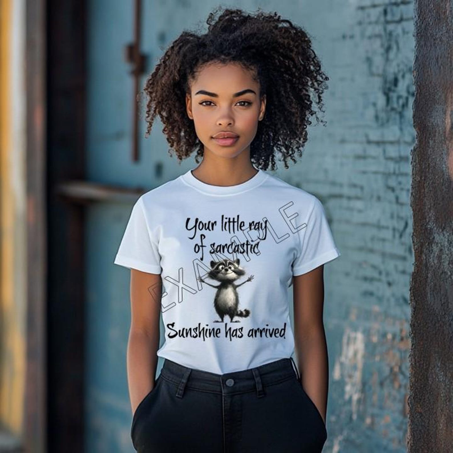 Your Little Ray of Sarcastic Sunshine Has Arrived PNG Digital Download ...