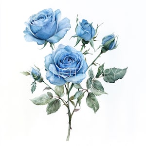 Watercolor Blue Rose PNG Digital Download File - Etsy