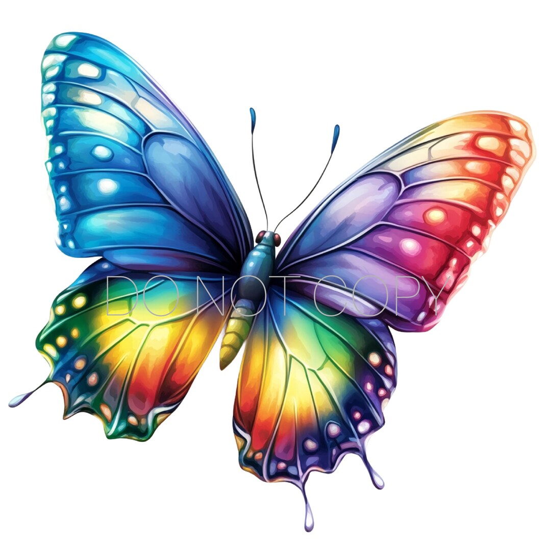 Rainbow Watercolor Butterfly PNG Digital Download File - Etsy