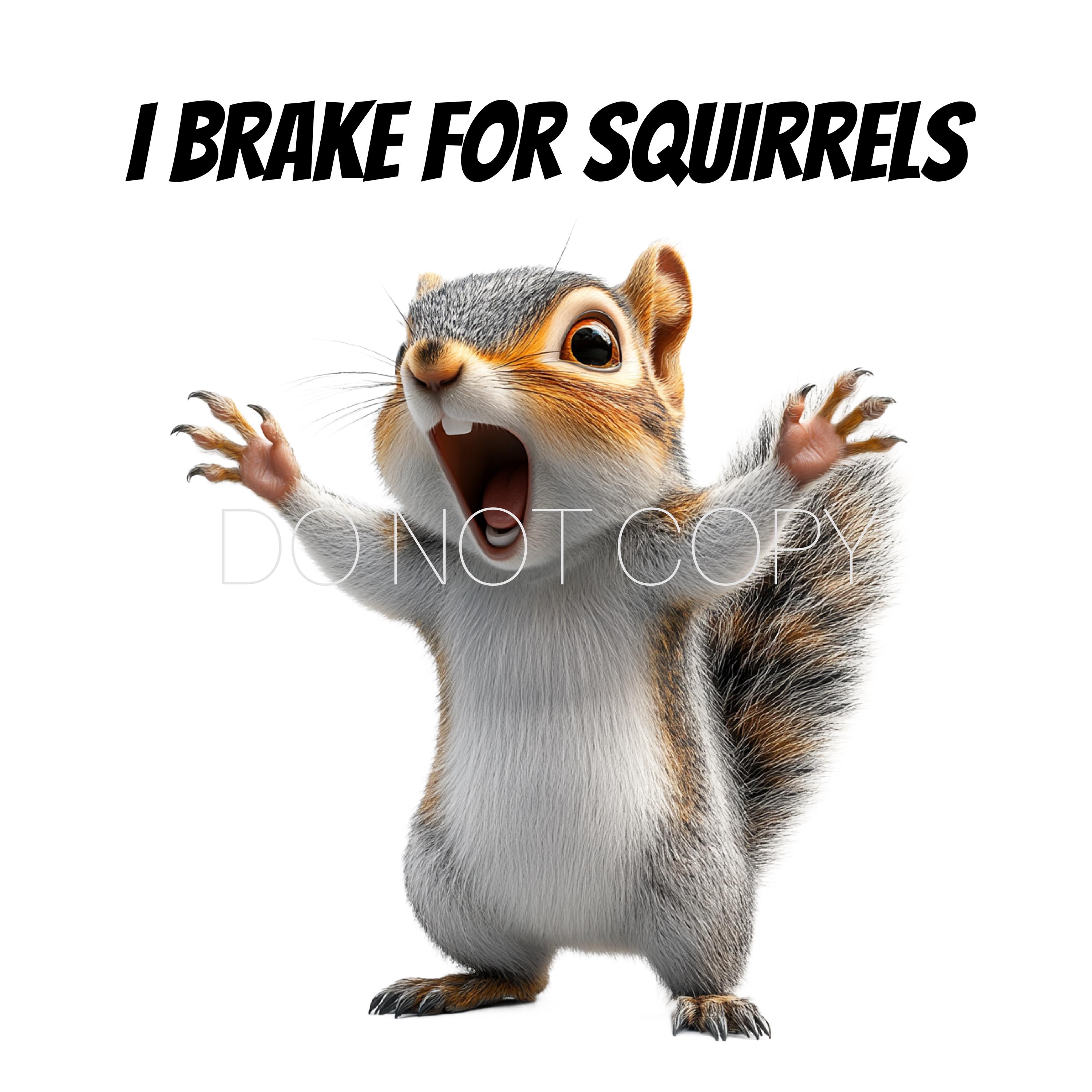 I Brake for Squirrels PNG Digital Download File - Etsy