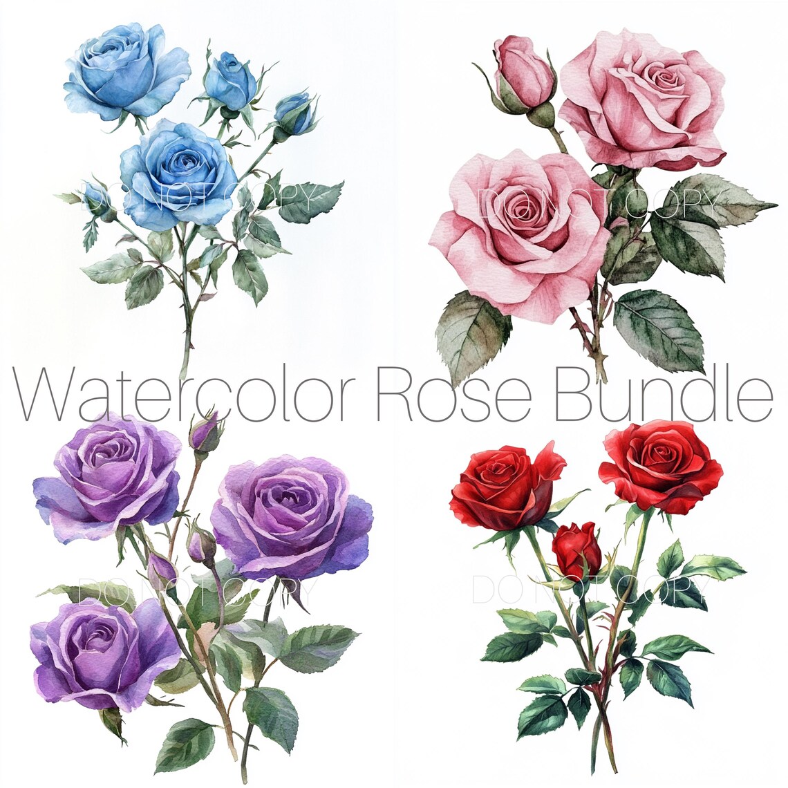 Watercolor Rose Bundle - 4 PNG Digital Download Files - Etsy
