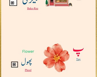Learn Urdu - My Urdu Workbook Worksheet - Alphabet, Numbers, Time ...