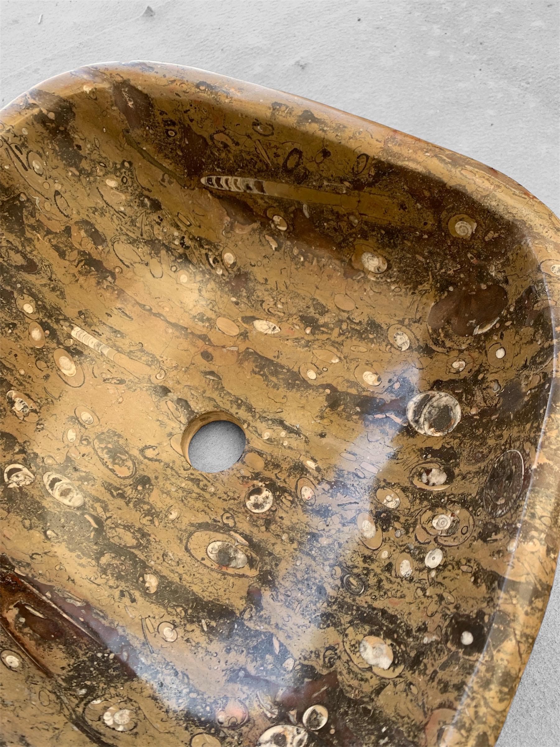 Marble Fossils Sink Stone Sink Fossils Marble Bathroom Vanity Sink Sink ...