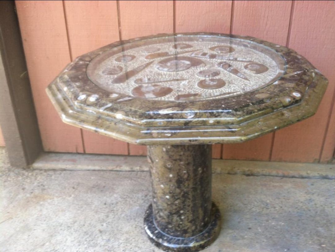 Marble Table Fossils, Natural Marble Orthoceras and Ammounite Fossils ...