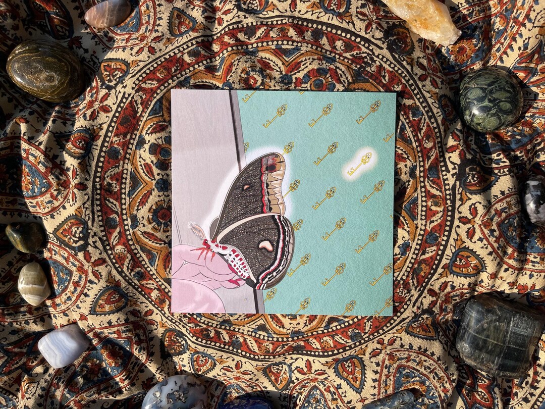Moth Madness Print - Etsy