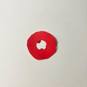 Born to Die Lana Del Rey Paper Mini Vinyl (miniature Poster Included ...